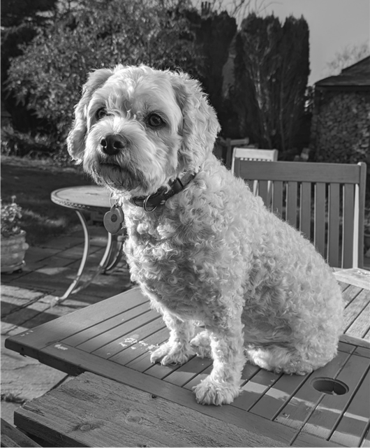 About - JV Architects